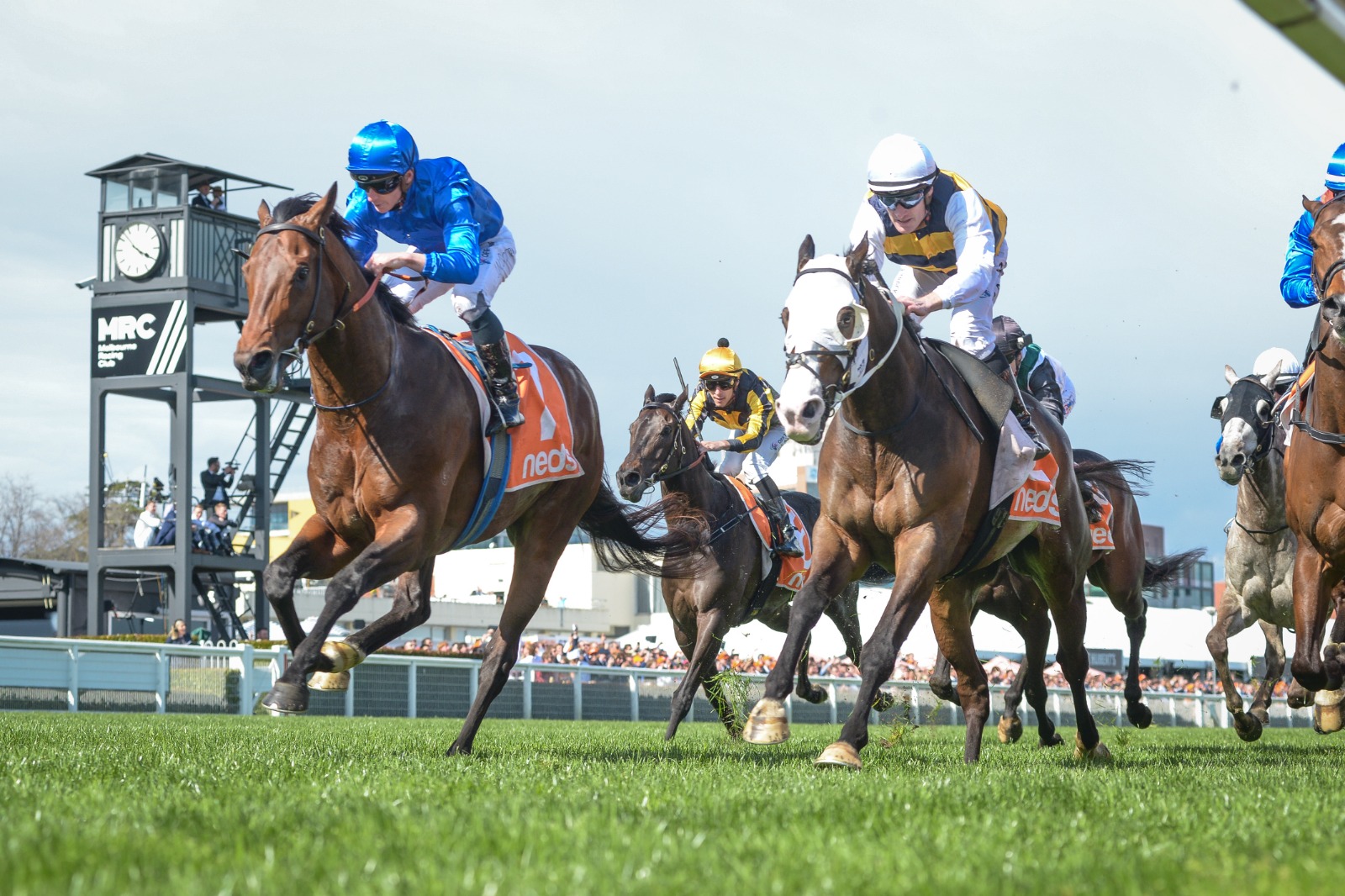 Anamoe scores another G1 knockout | America